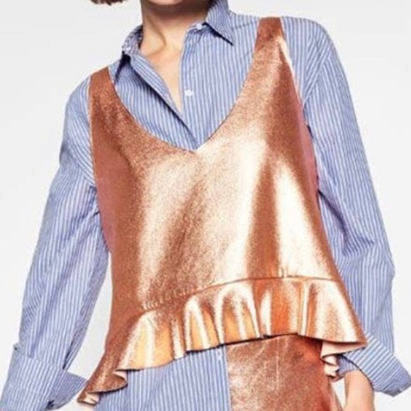 Zara | Tops | Stylish Rose Gold Metallic Top Zara | Poshmark